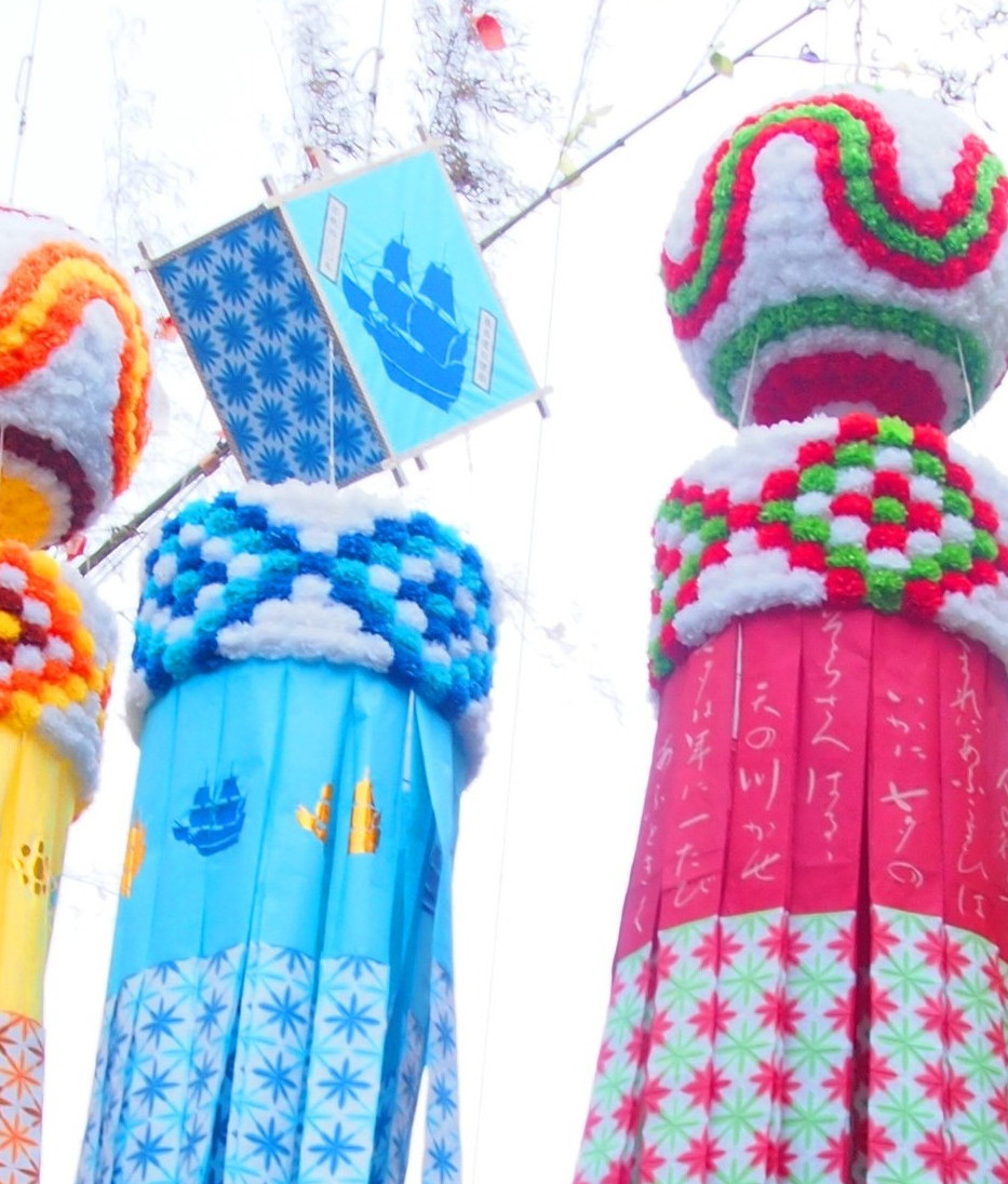 JAPANESE SOCIETY of DEVELOPMENTAL BIOLOGISTS｜JAPANESE SOCIETY